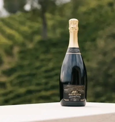 Rive Prosecco: significato e curiosità - Santa Margherita vini